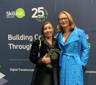 Skillnet Ireland 25 Years - Celebrating success and impact of Skillnet ...