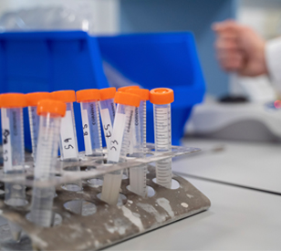 Apprenticeship Lab in Tallaght achieves My Green Lab Green ...