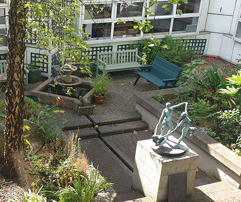 Library News & Events | The Living Lab Garden Space | TU Dublin